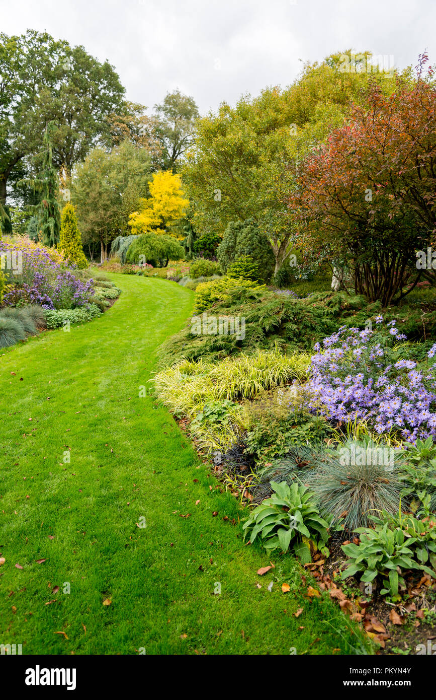 ‘bressingham white’ hi-res stock photography and images - Alamy