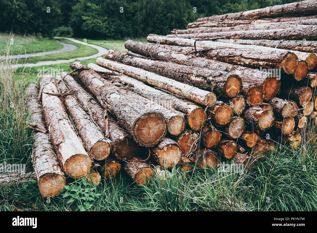Lumber wood outdoor in rural area of Denmark Stock Photo - Alamy