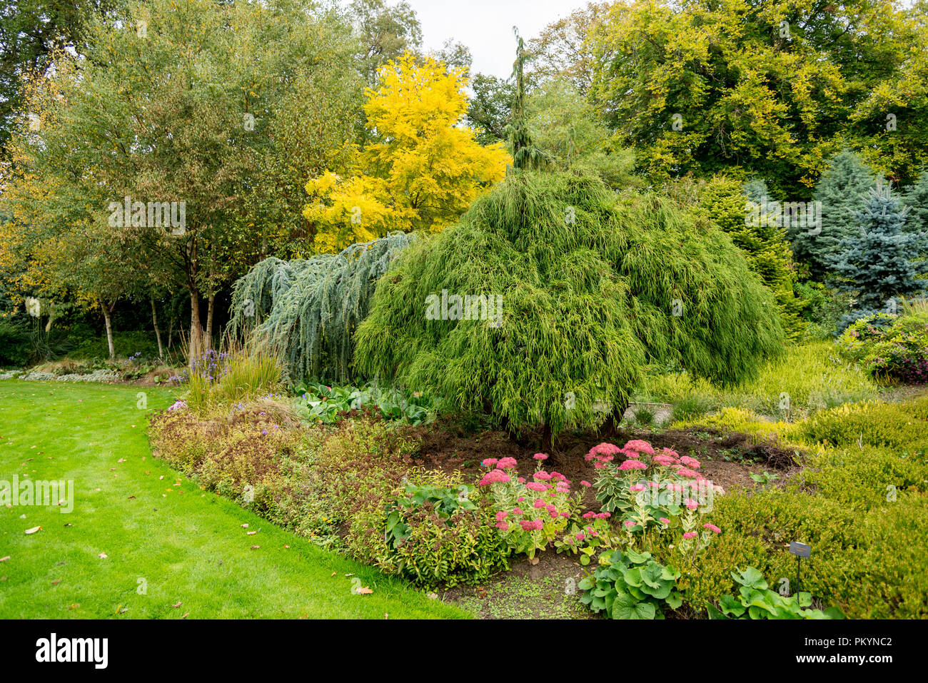 Diss grass hi-res stock photography and images - Alamy