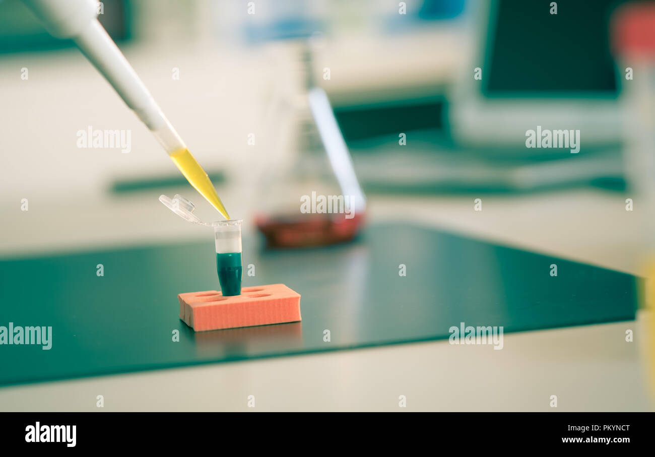 PCR strip in genetic laboratory Stock Photo - Alamy