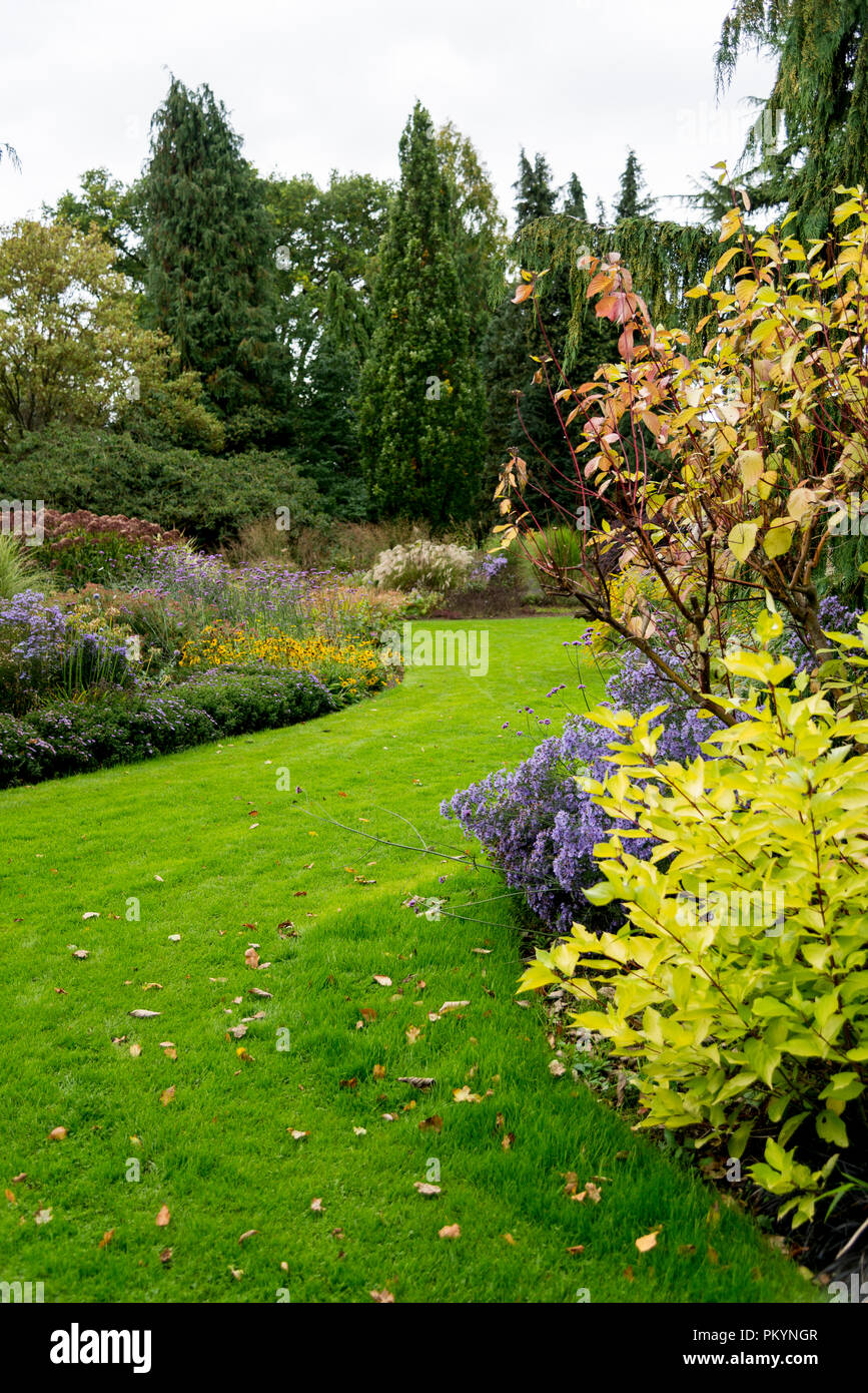 Diss grass hi-res stock photography and images - Alamy