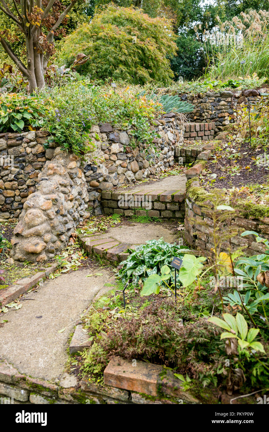 Diss grass hi-res stock photography and images - Alamy