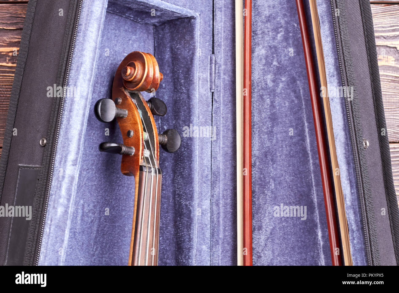 Violin in velvet case close up. Close up construction of violin, scroll ...