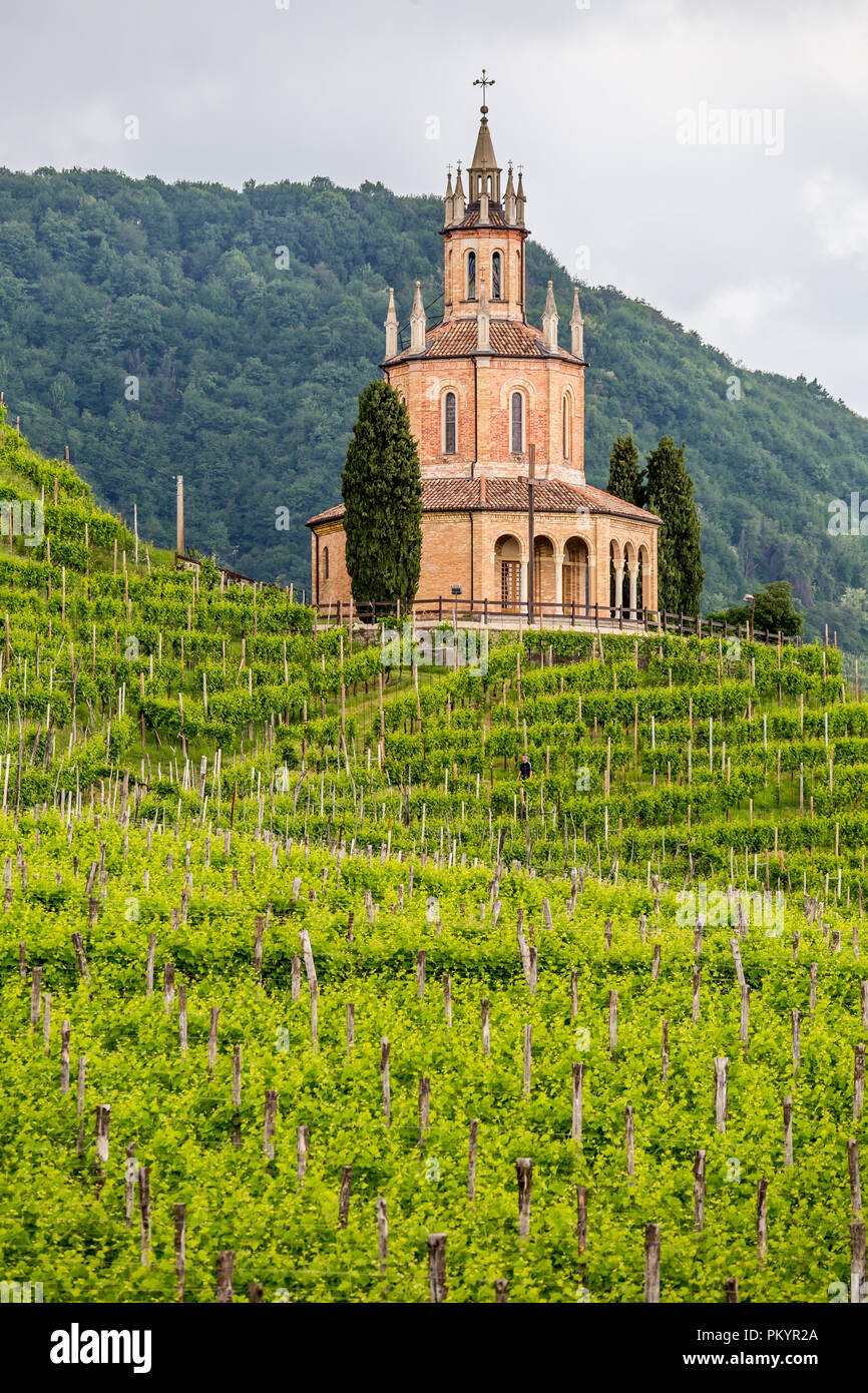 Picturesque hills with vineyards of the Prosecco sparkling wine region ...