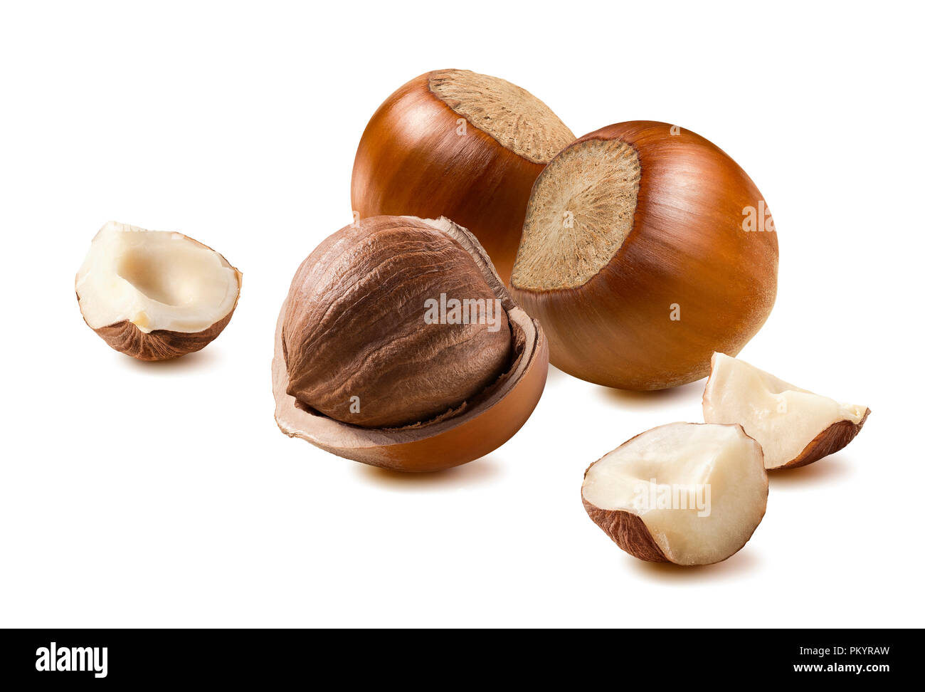 Hazel design hi-res stock photography and images - Alamy