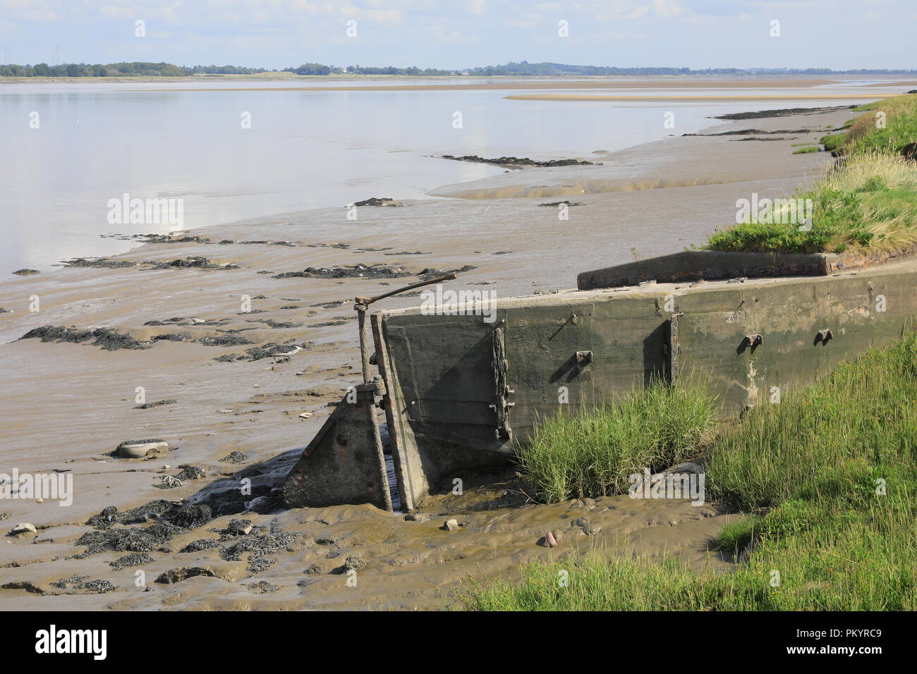 Severn trow hi-res stock photography and images - Alamy