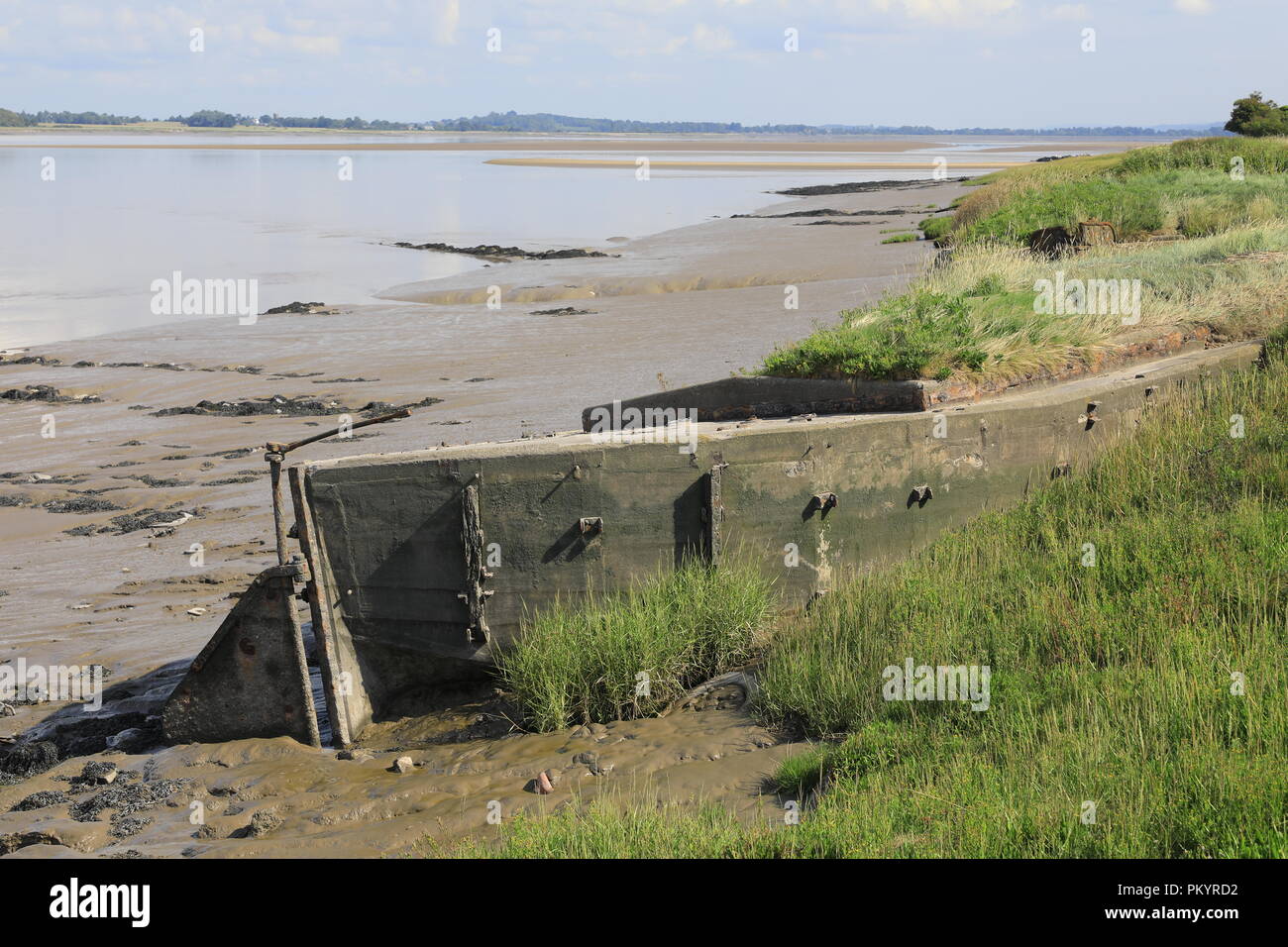 Severn trow hi-res stock photography and images - Alamy