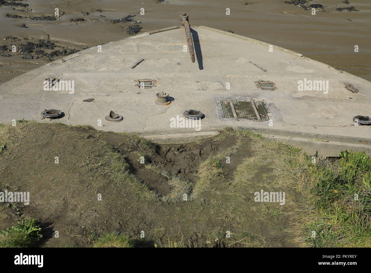 Severn trow hi-res stock photography and images - Alamy