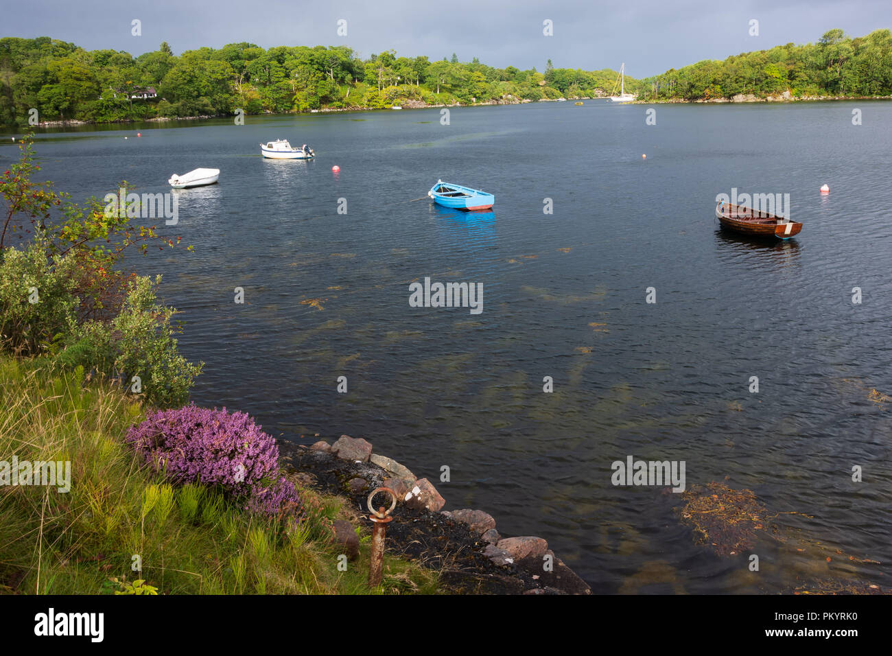 Badachro, Wester Ross, Scotland, United Kingdom Stock Photo - Alamy