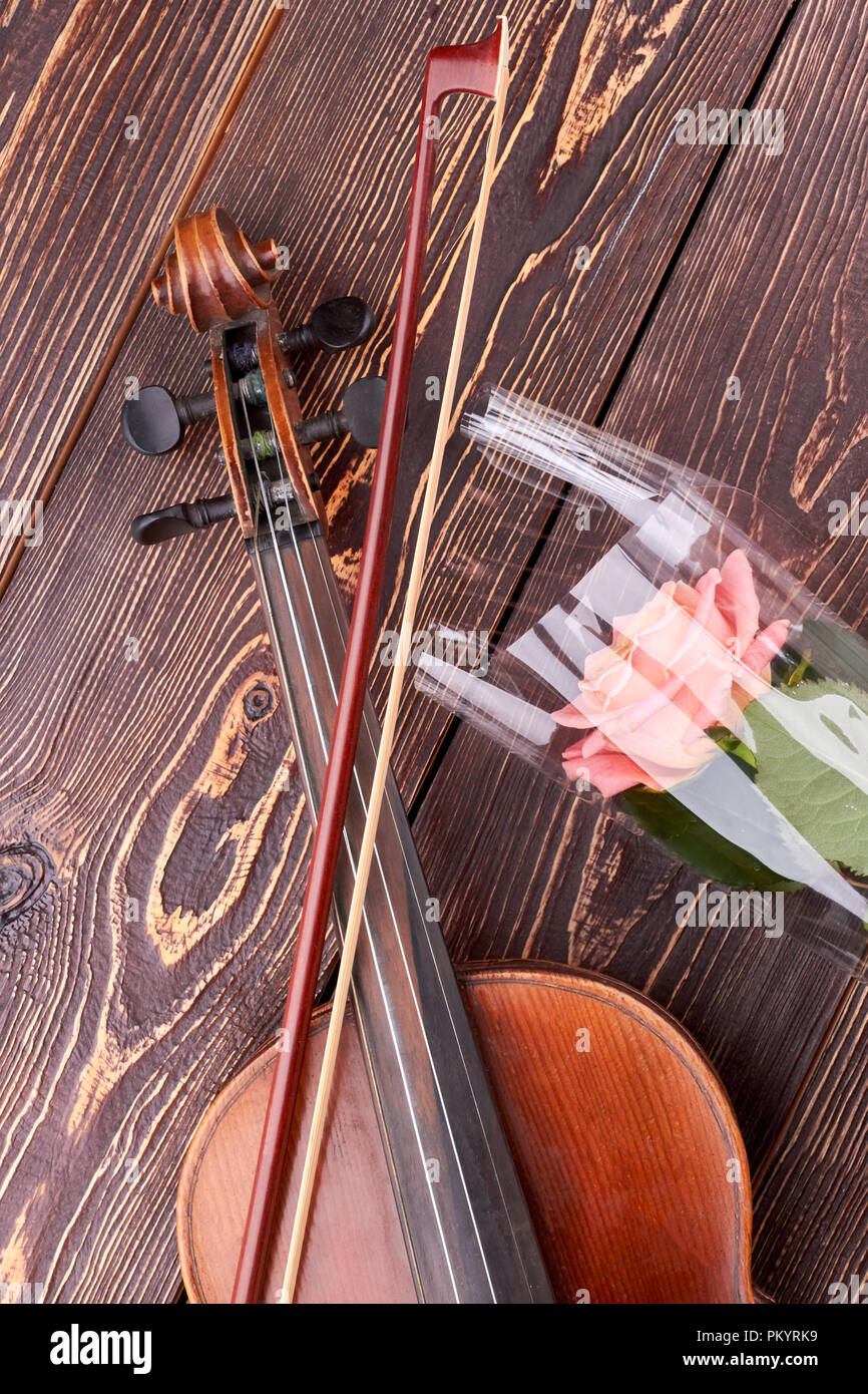 Pink violin hi-res stock photography and images - Alamy
