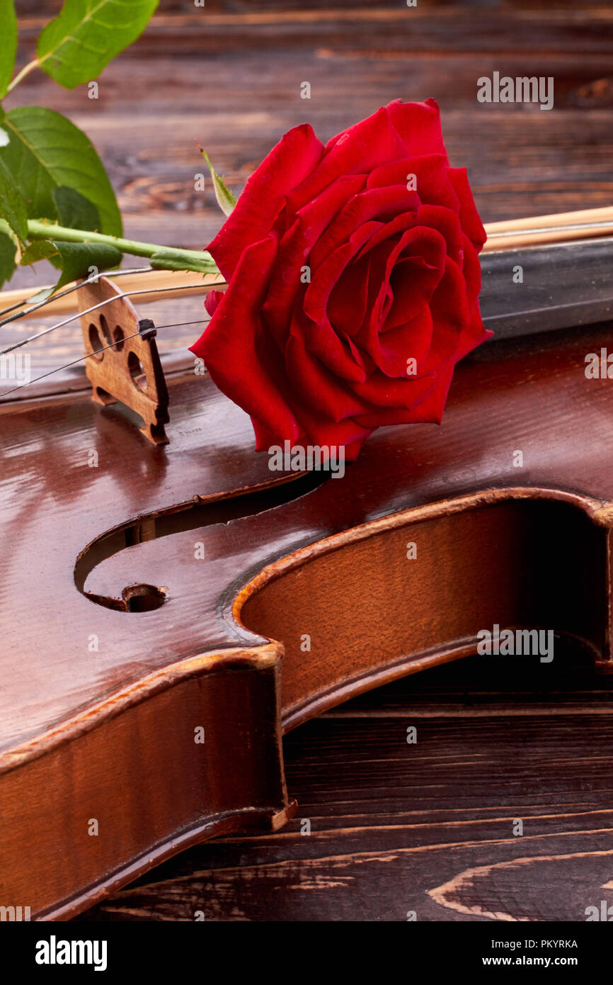 Violín vertical hi-res stock photography and images - Alamy
