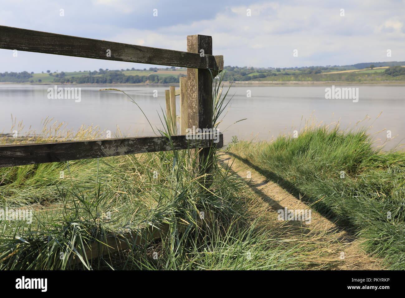 Severn trow hi-res stock photography and images - Alamy