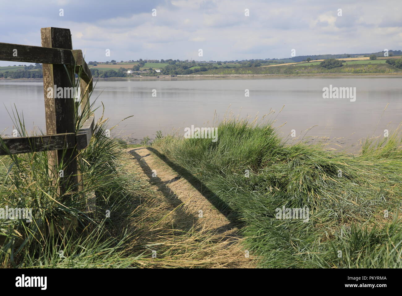Severn trow hi-res stock photography and images - Alamy