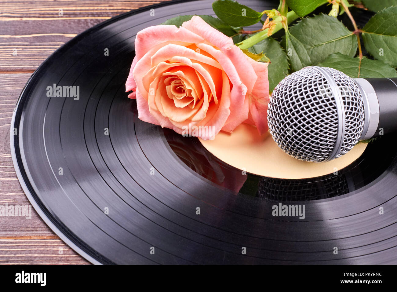 Vinyl record with microphone and rose Stock Photo - Alamy