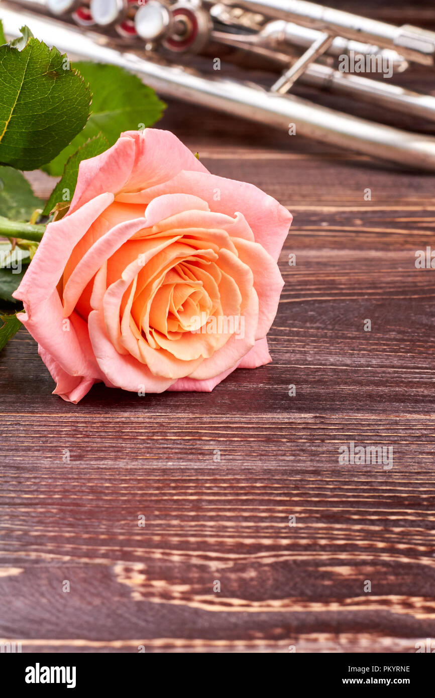 Rose trumpet hi-res stock photography and images - Alamy
