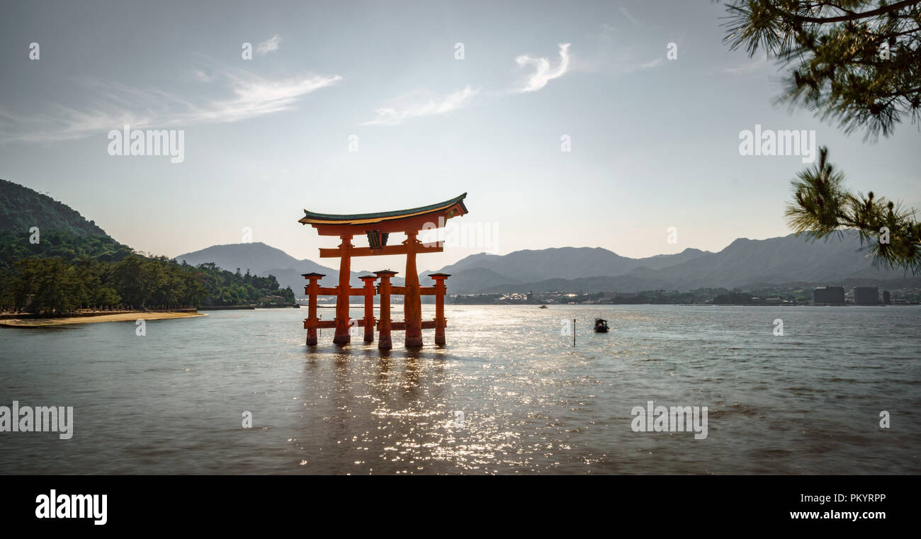 Floating Torii gate panorama on high tide Stock Photo - Alamy