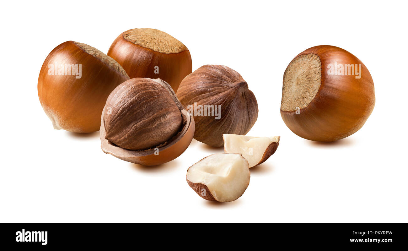 Hazel design hi-res stock photography and images - Alamy