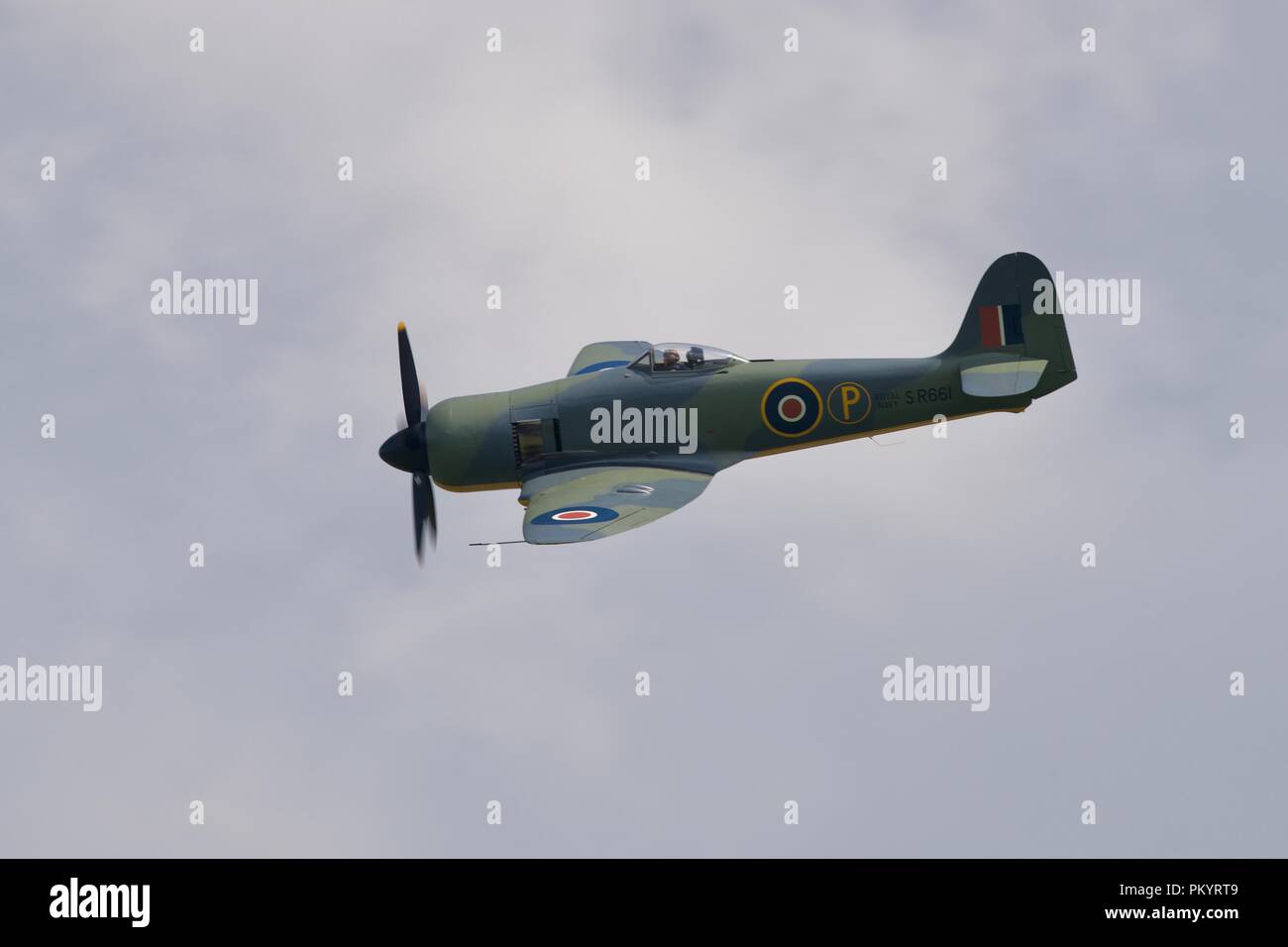Hawker Sea Fury Mk.II (G-CBEL) flying at Shuttleworth fly navy airshow ...