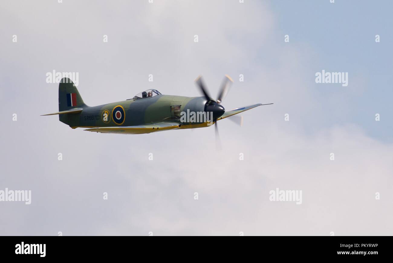 Hawker Sea Fury Mk.II (G-CBEL) flying at Shuttleworth fly navy airshow ...