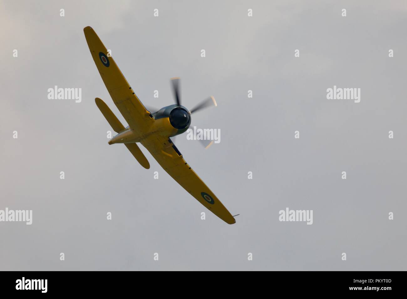 Hawker Sea Fury Mk.II (G-CBEL) flying at Shuttleworth fly navy airshow ...