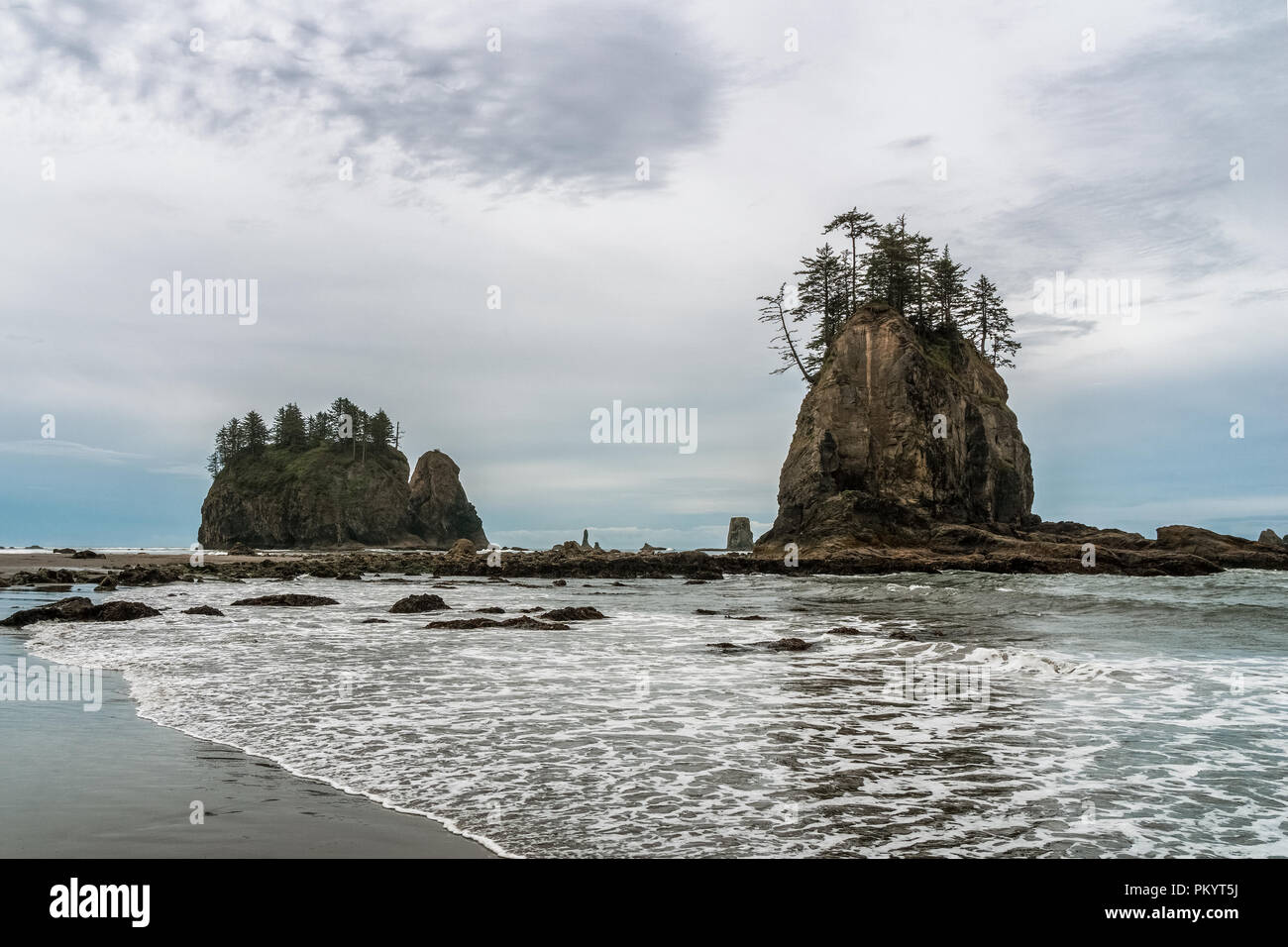 Lady nature seaside hi-res stock photography and images - Alamy