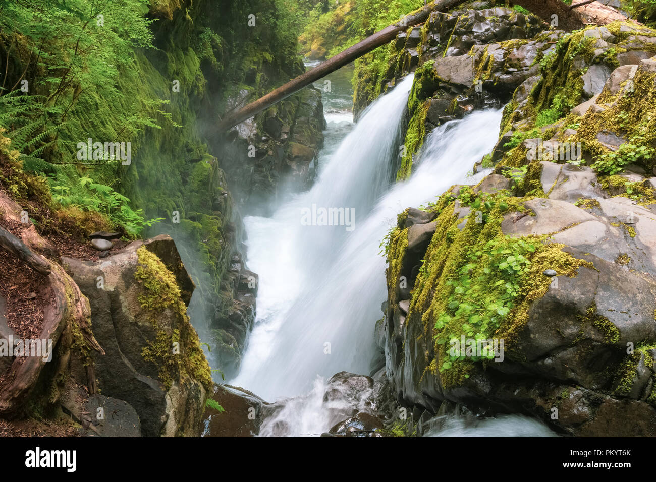 Sol duc hi-res stock photography and images - Alamy