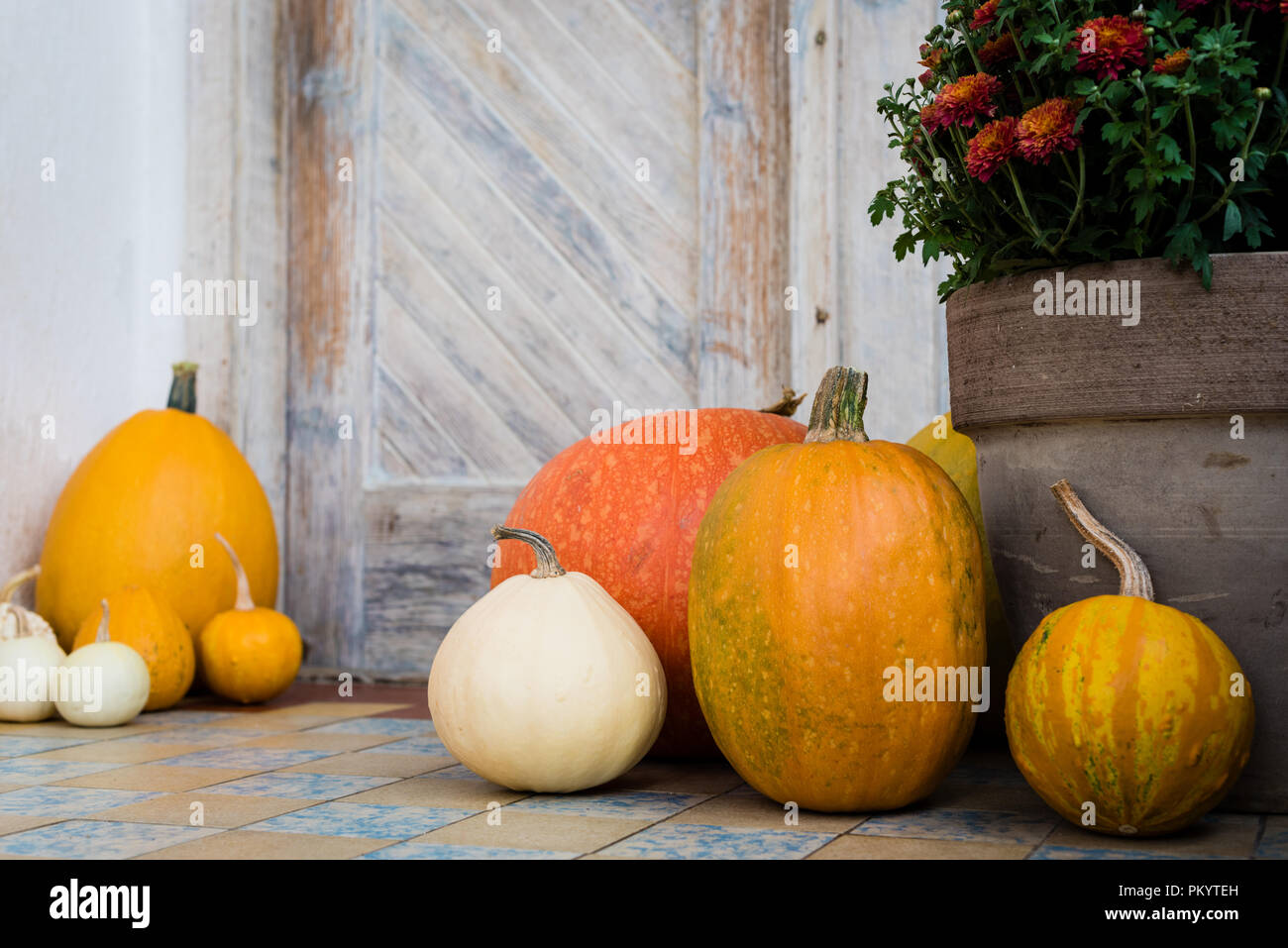 Thanksgiving decorated front door with various size and shape pumpkins ...