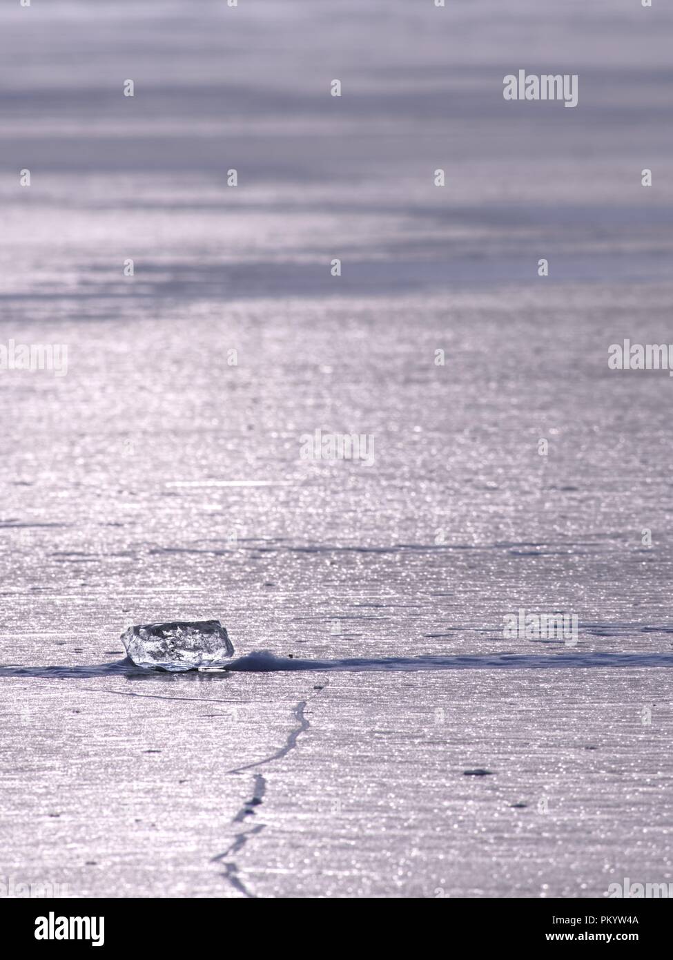 Colorful ice piece in evening polar sun. Abstract icy nature background ...