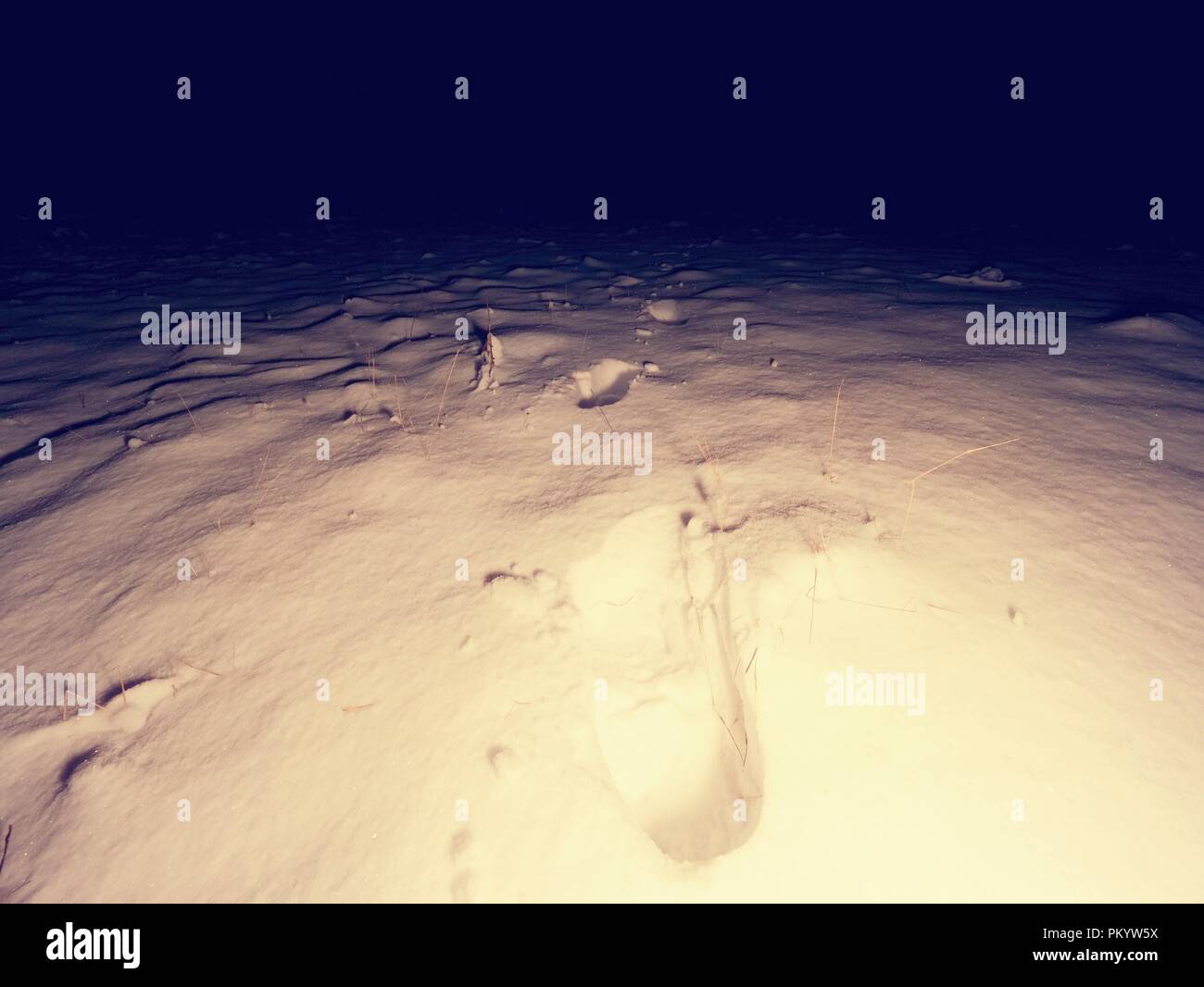 Footprints on fresh snow by night vanishing in the dark. Fear in ...