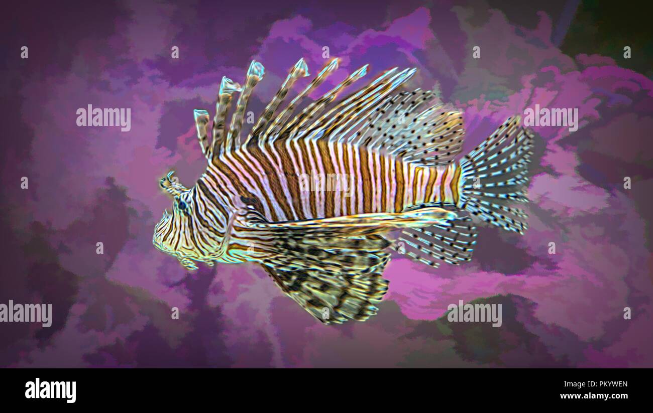 Colorful Lionfish