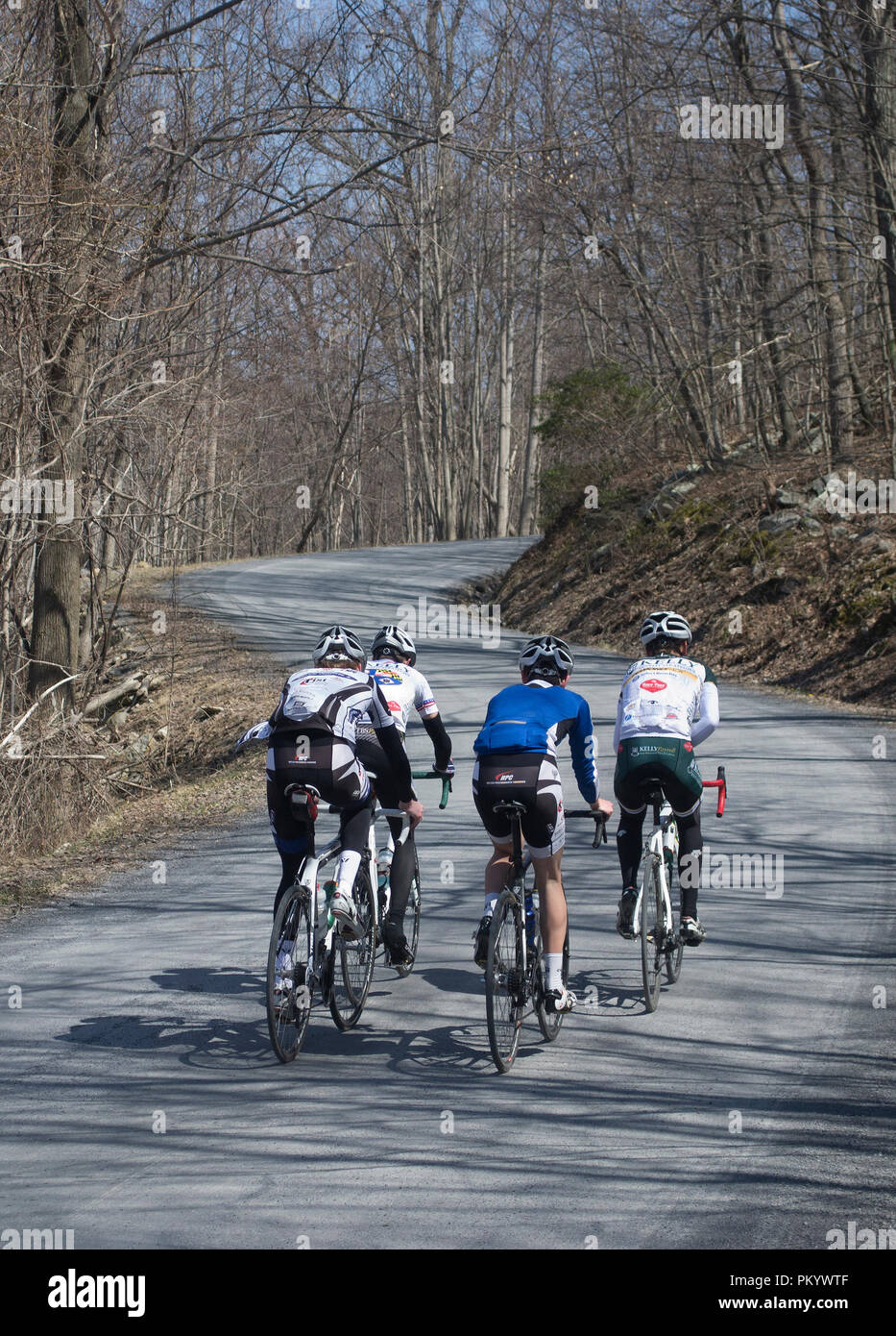 Nima ebrahimnejad hi-res stock photography and images - Alamy