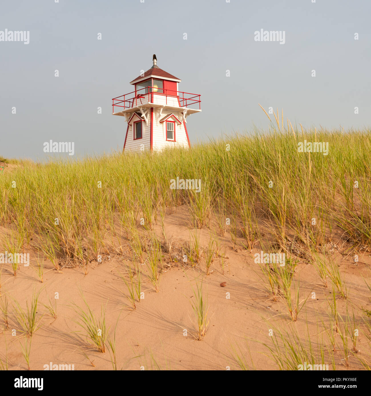 Lighthouse at covehead harbour hi-res stock photography and images - Alamy