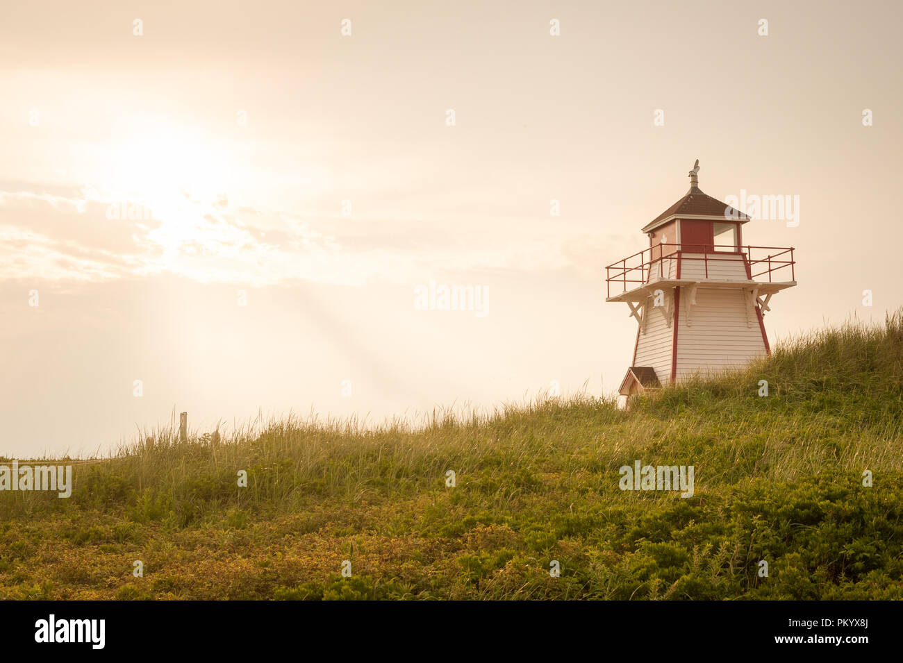 Lighthouse at covehead harbour hi-res stock photography and images - Alamy