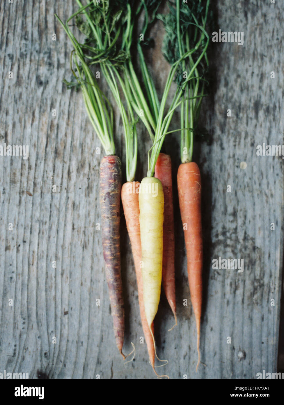 Heirloom Tricolored Carrot Bunch on Natural Wood Table Stock Photo - Alamy