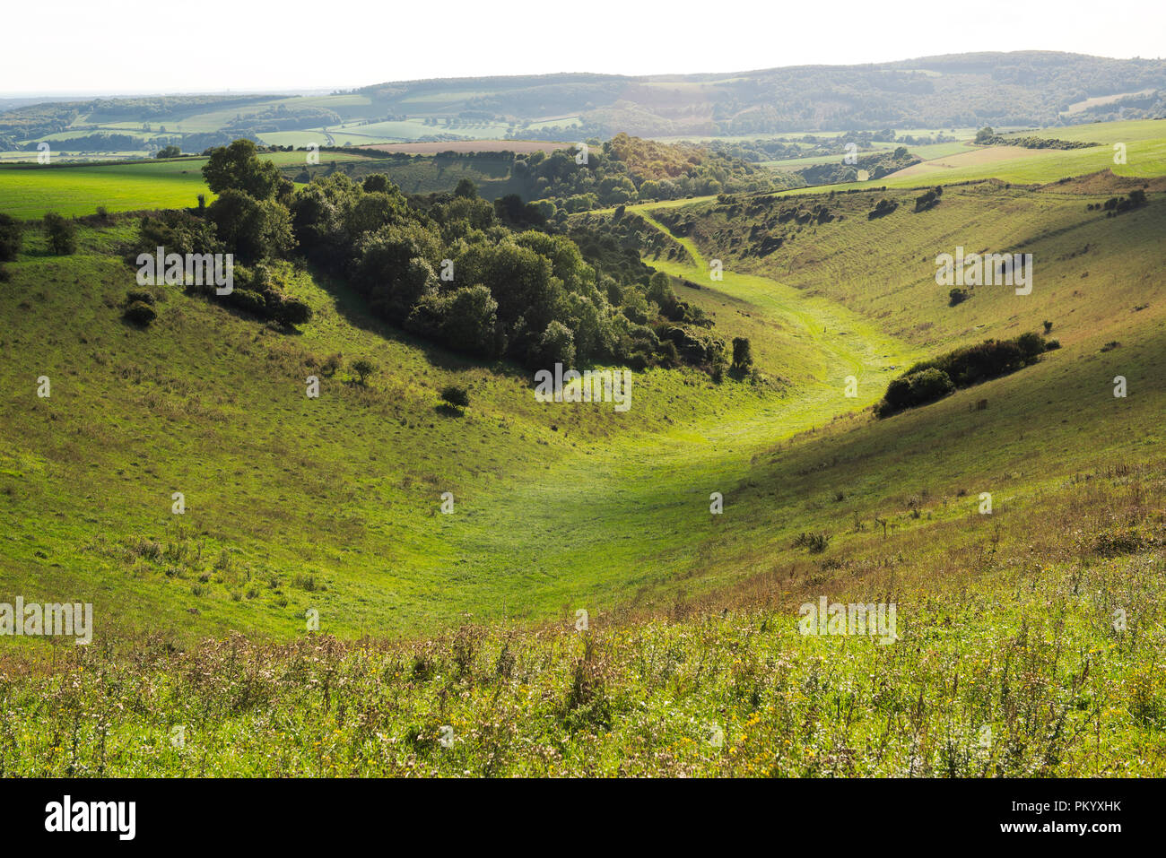 A dry chalk valley to the south of Amberley Mount on the South Downs ...