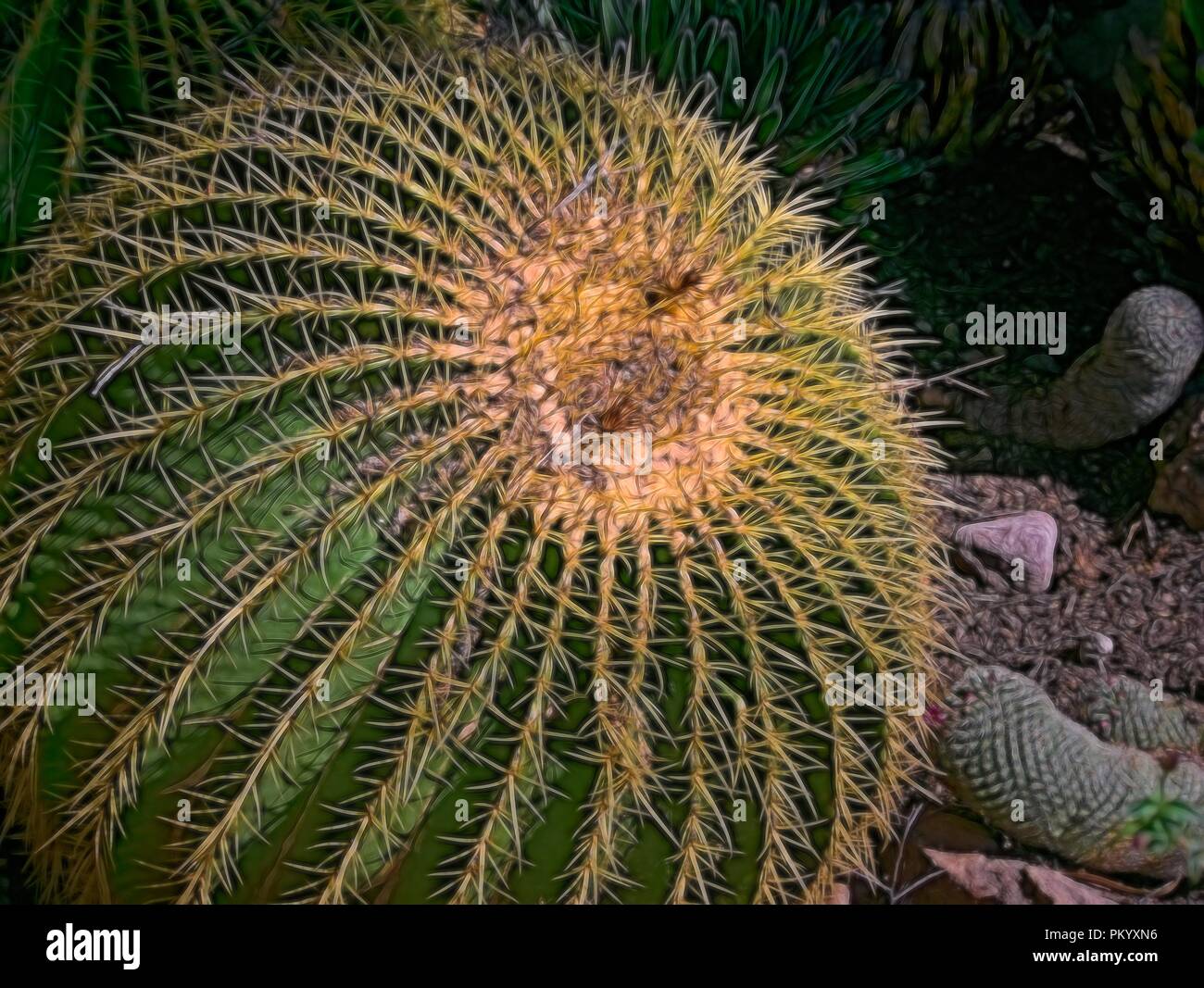 Cactus in the Sedona Red Rocks State Park in Arizona Stock Photo - Alamy