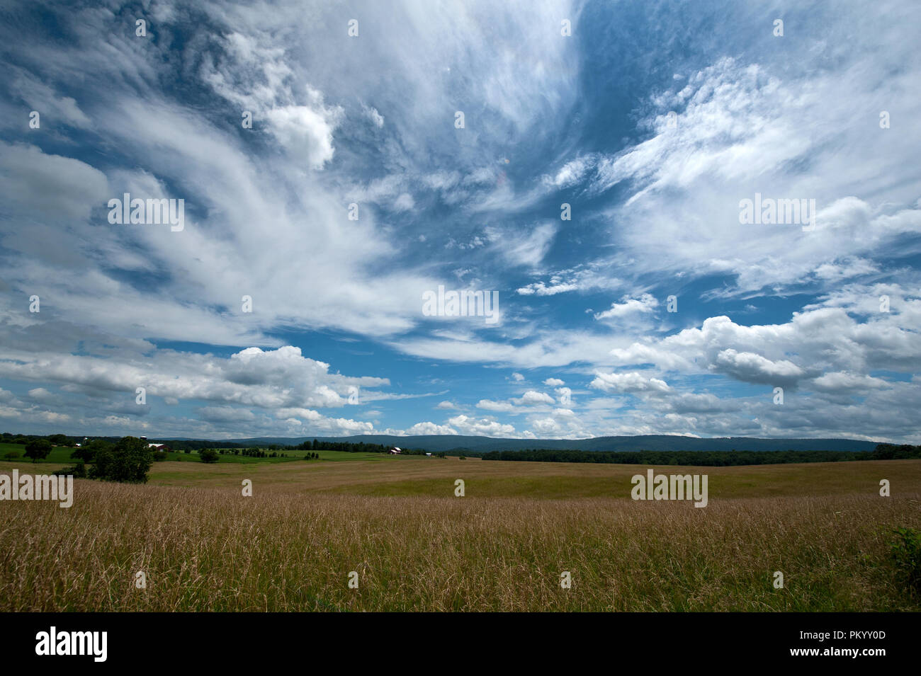 Usa water clean air forest nature hi-res stock photography and images ...