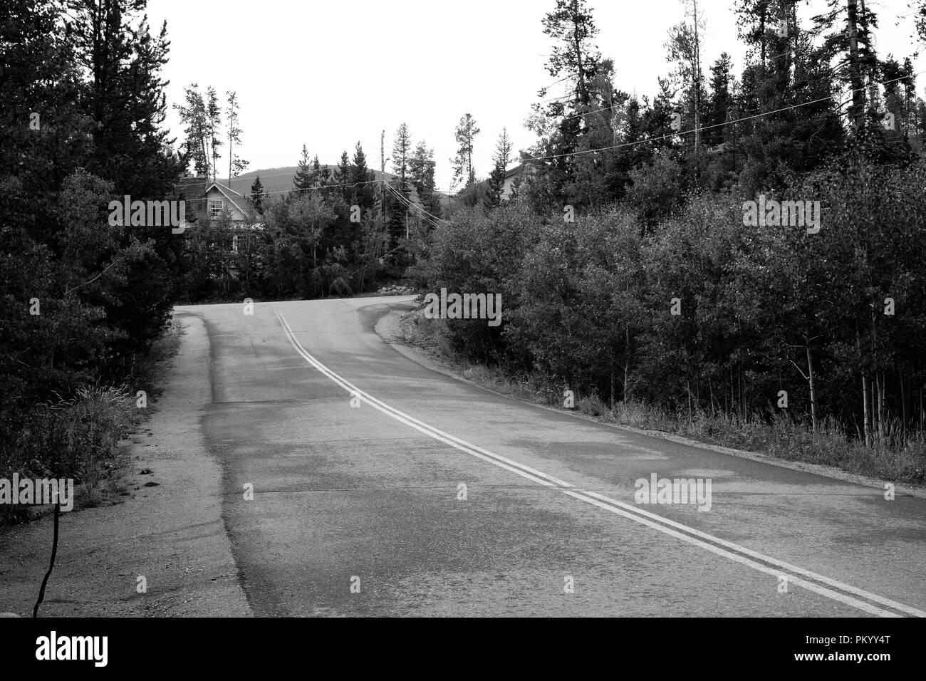 Quiet country road in woodland Stock Photo - Alamy