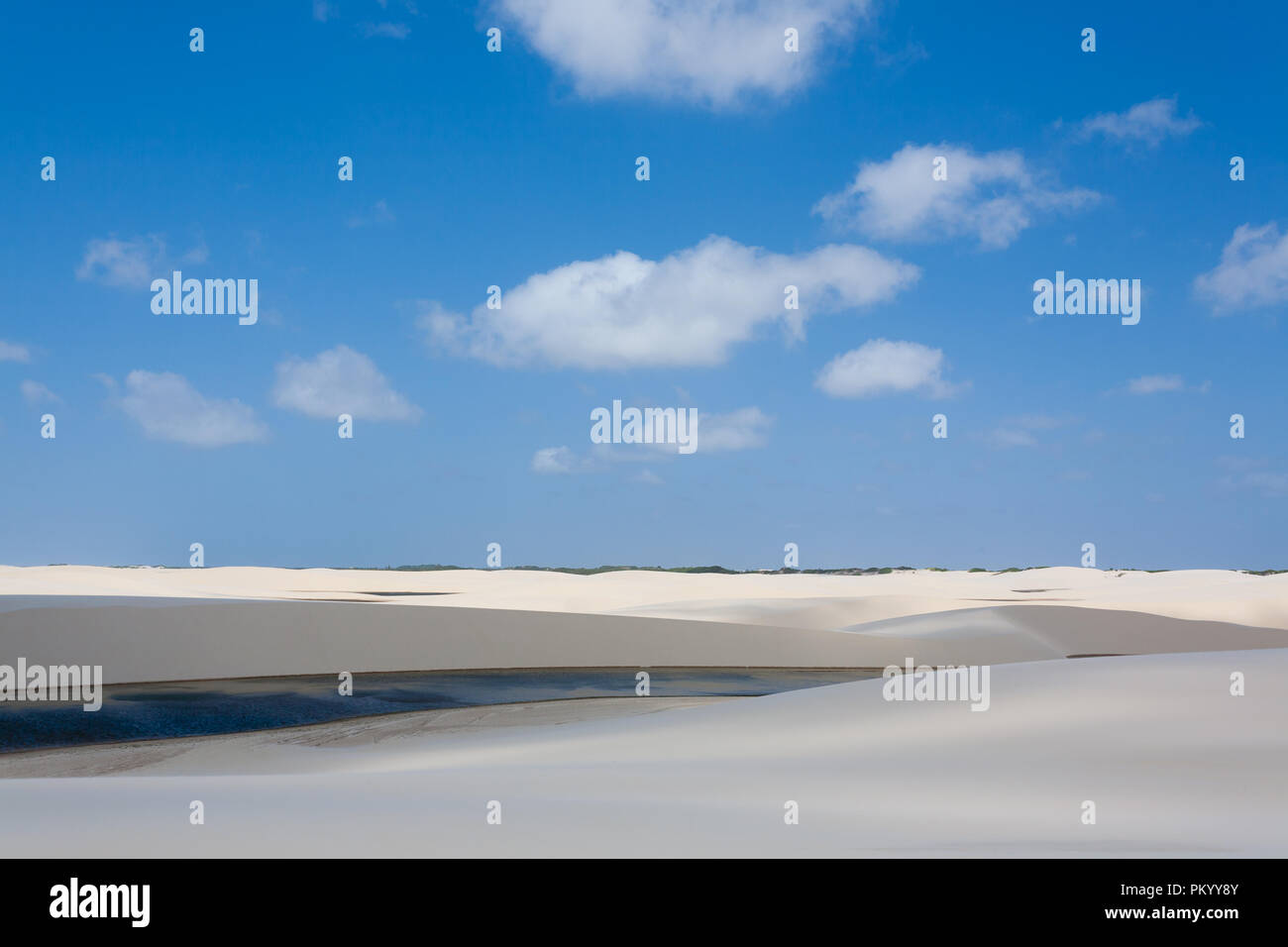 White of brazil hi-res stock photography and images - Alamy