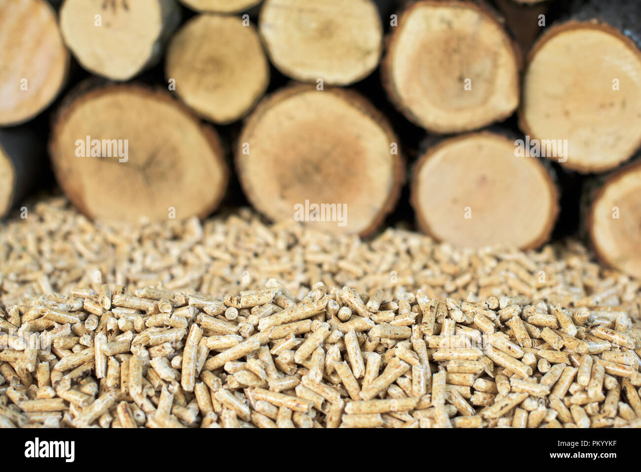 Beech pellets in front of pile of beech wood Stock Photo - Alamy