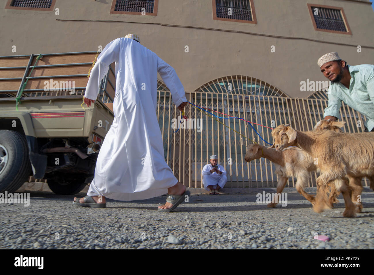 Traditional Cattle market for Eid Stock Photo - Alamy