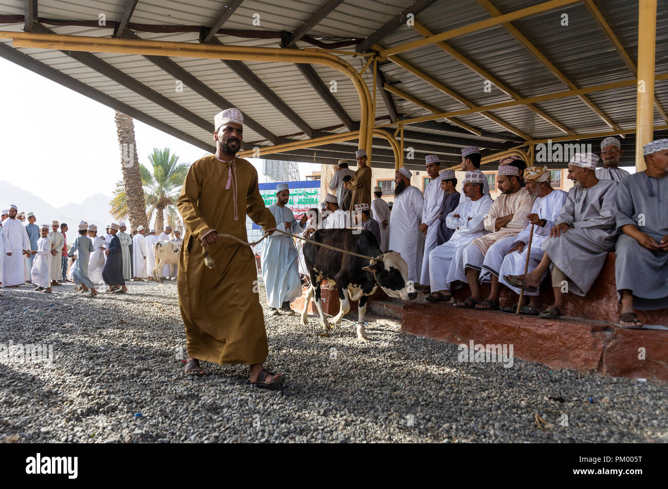 Traditional Cattle market for Eid Stock Photo - Alamy