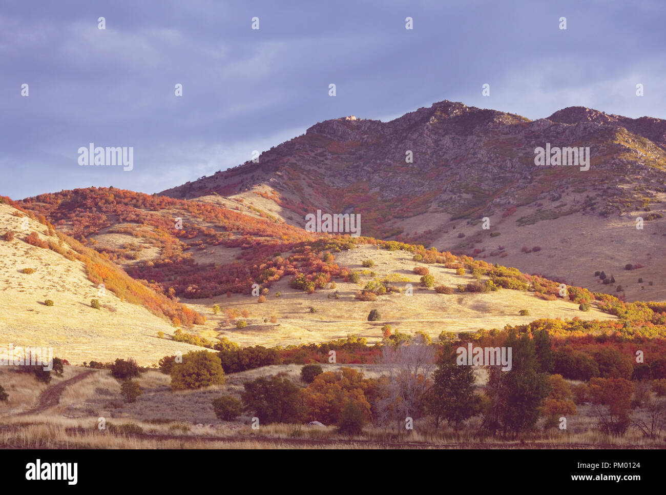 Late Autumn season in mountains Stock Photo - Alamy