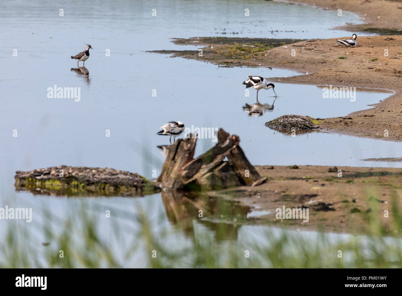 Coastla beauty hi-res stock photography and images - Alamy