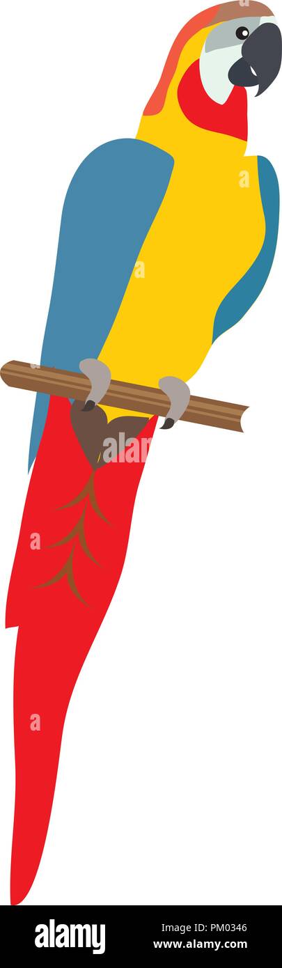 vector illustration of a parrot bird. wild, nature, zoo background ...