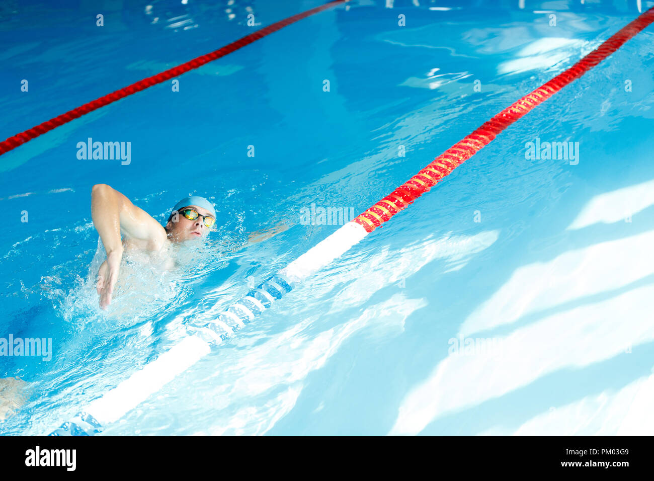 Freestyle swimmer in swimming pool Stock Photo - Alamy