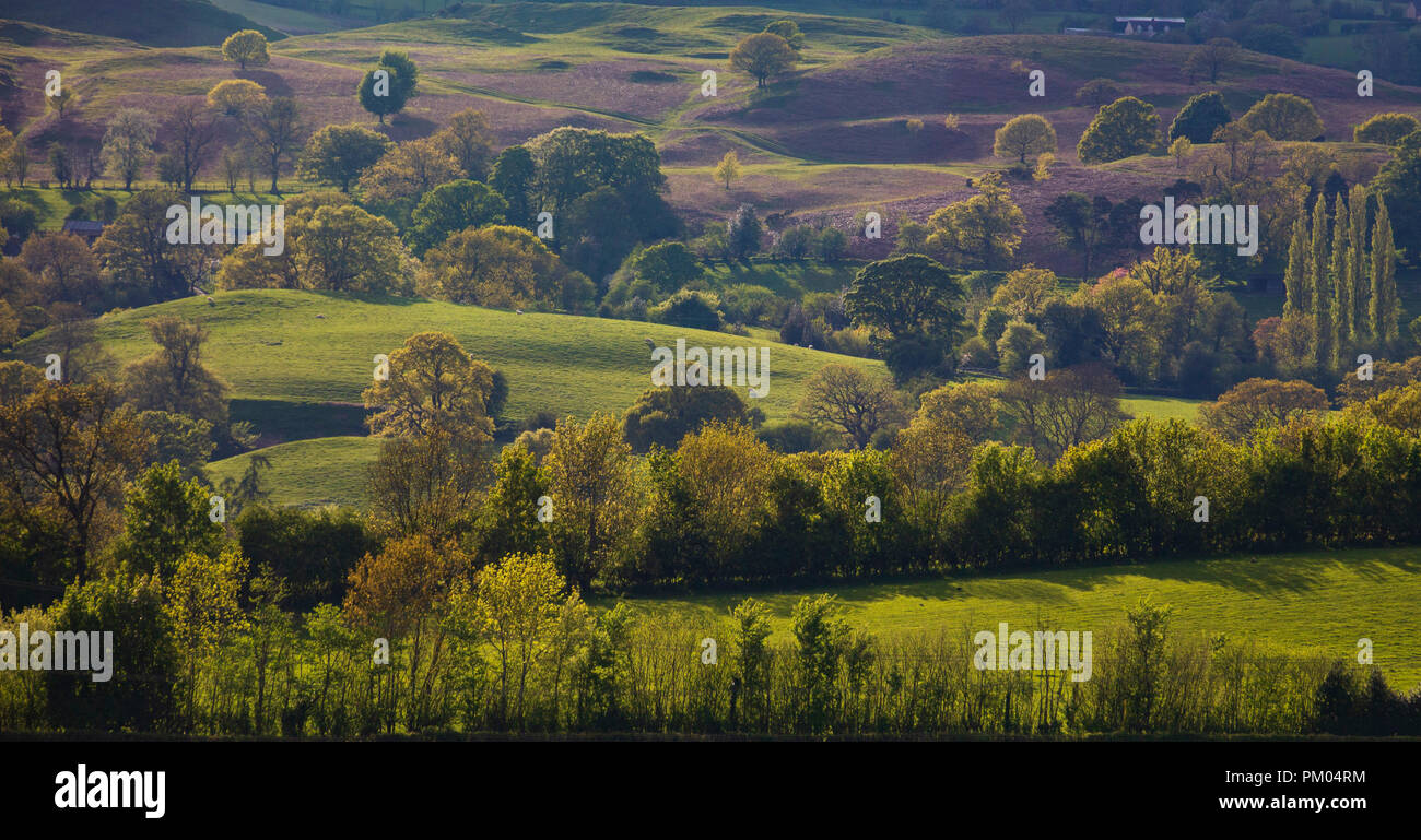 General Shropshire landscape with hills, fields and trees Stock Photo ...
