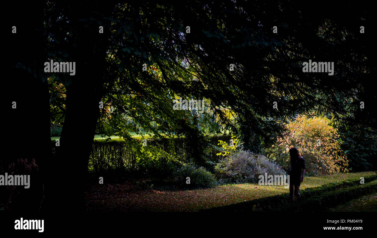 Silhouette self portrait taken in Public gardens Stock Photo - Alamy