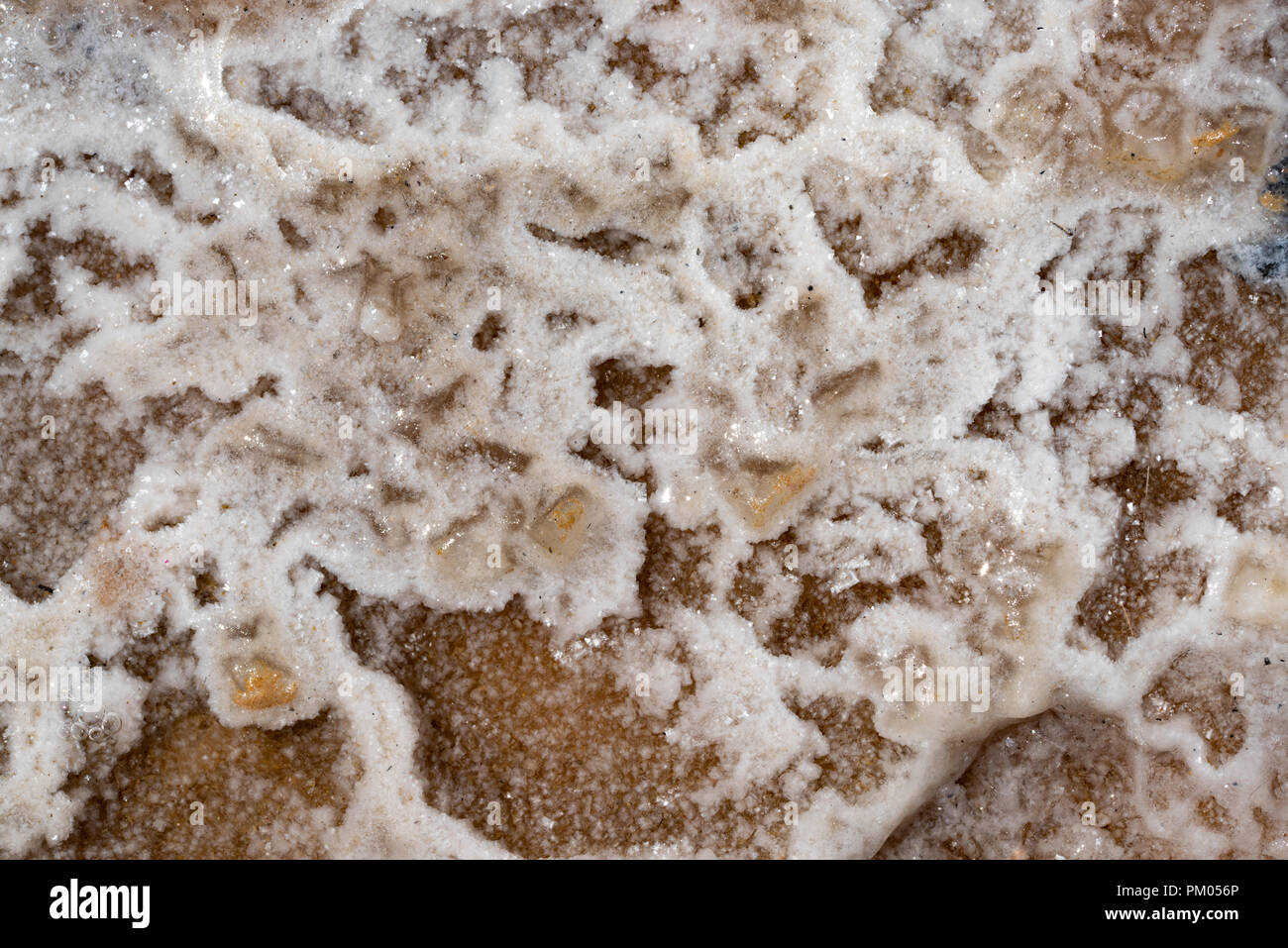 Close up of salt forming on the shore of the sea in Israel Stock Photo ...