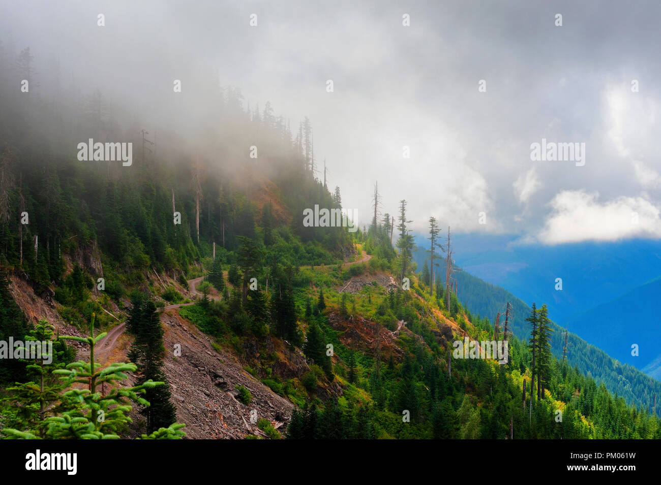 Landscape view while hiking in the Detroit, Oregon area of the Cascade ...